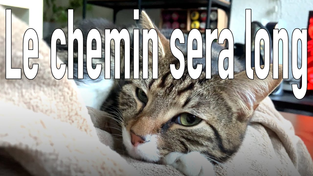 v Adam - Le Chemin Sera Long ( Lyrics Video ) ( prod @yesmcx ) - YouTube