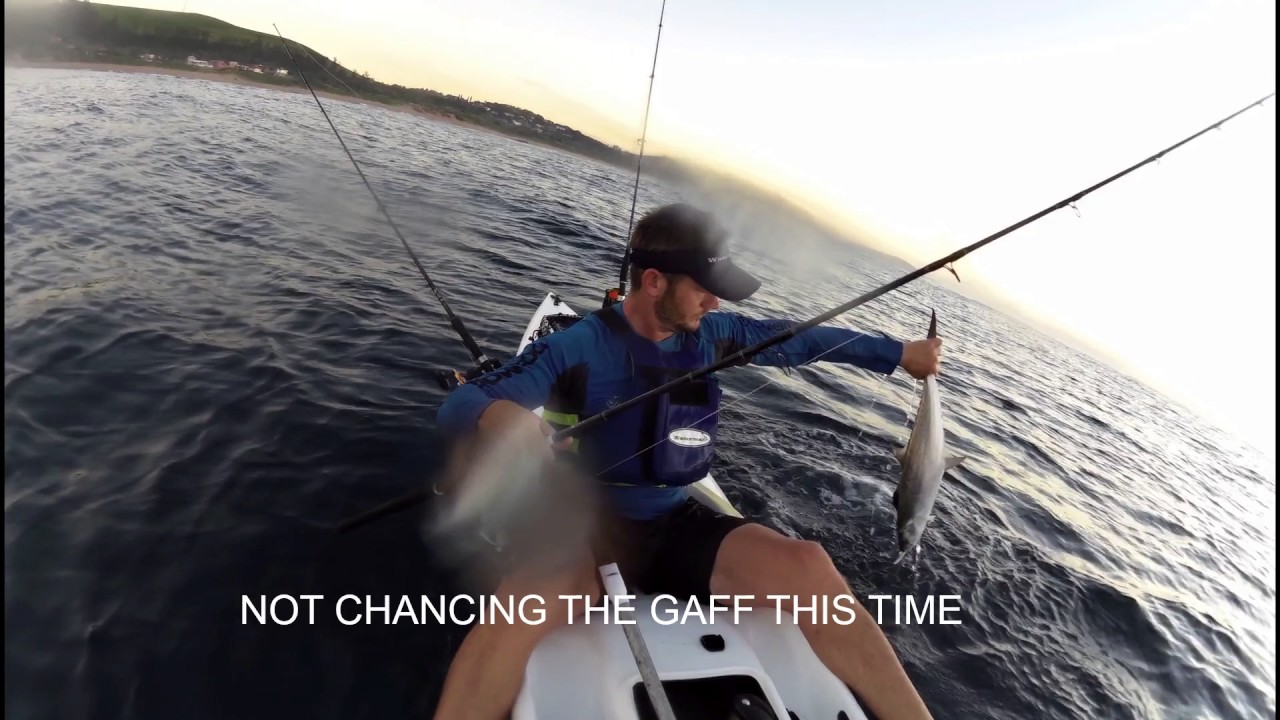 How to catch Queen Mackerel aka Natal Snoek - Halco Twisty - Weapon of ...
