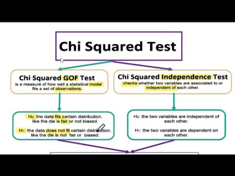 Topic 4 Intro to Chi Squared GOF Test - YouTube