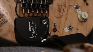 Fishman | Guitar Center
