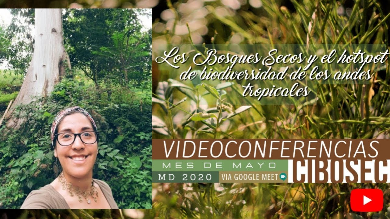 Los Bosques Secos y el hotspot de biodiversidad de los Andes Tropicales ...