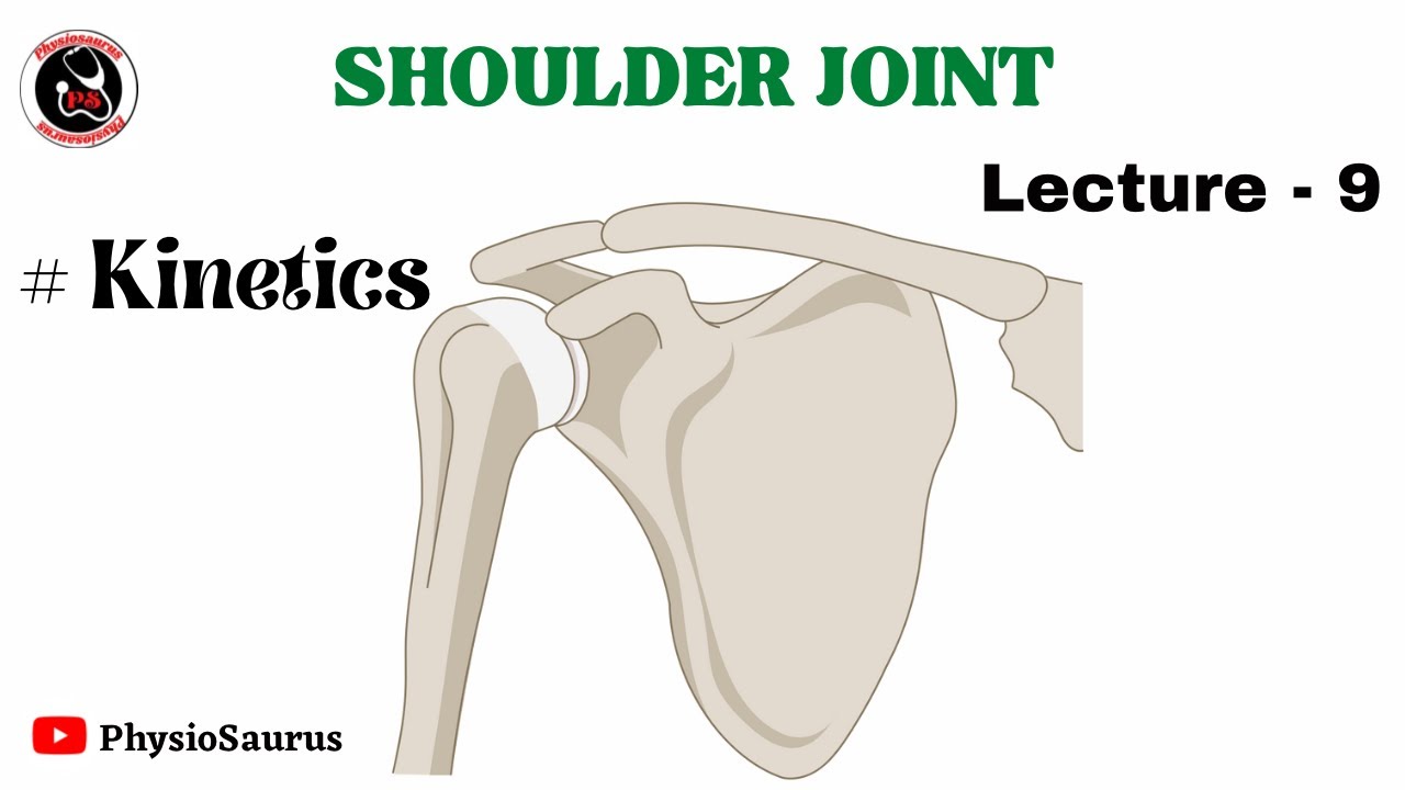 Shoulder joint | Kinetics | - YouTube