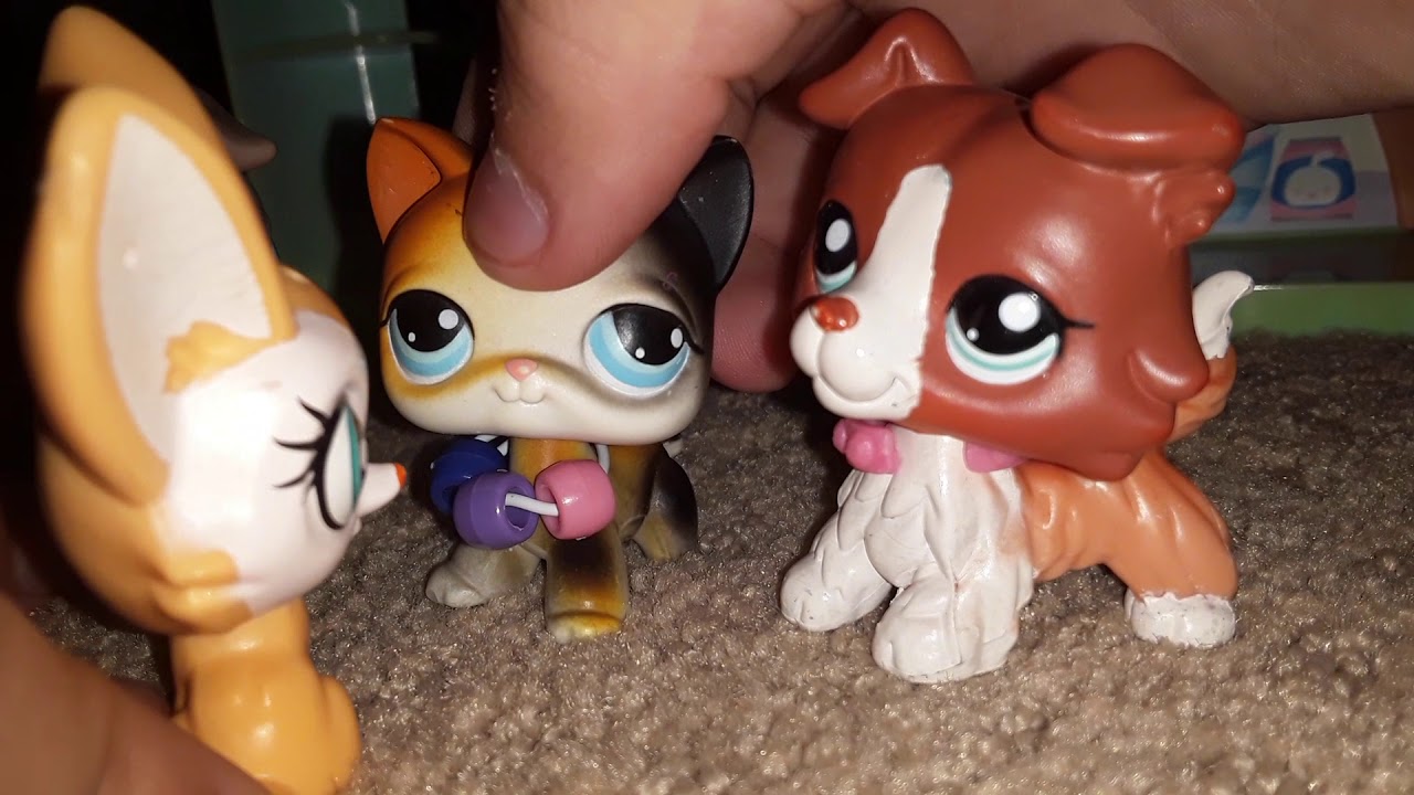 A random lps video I made with my friend - YouTube