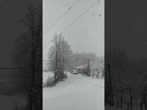 ORDU / AKKUŞ 02.01.2022