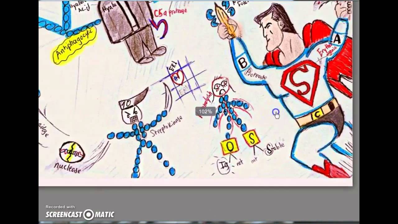 Streptococcus pyogenes - Symbolic Mind Map [with English Subtitles ...