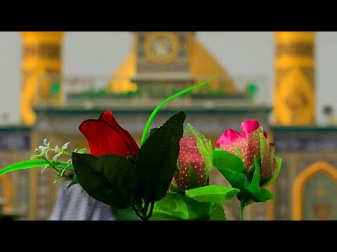 7 Rajab | Wiladat E Maula Abbas (AS)  Whatsapp Status | by Ali Waris Official