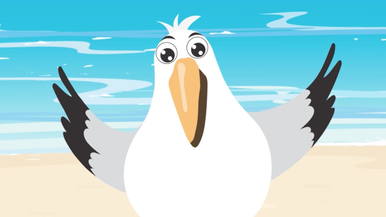 I'm a Silly Seagull ♫ Kids Songs - YouTube