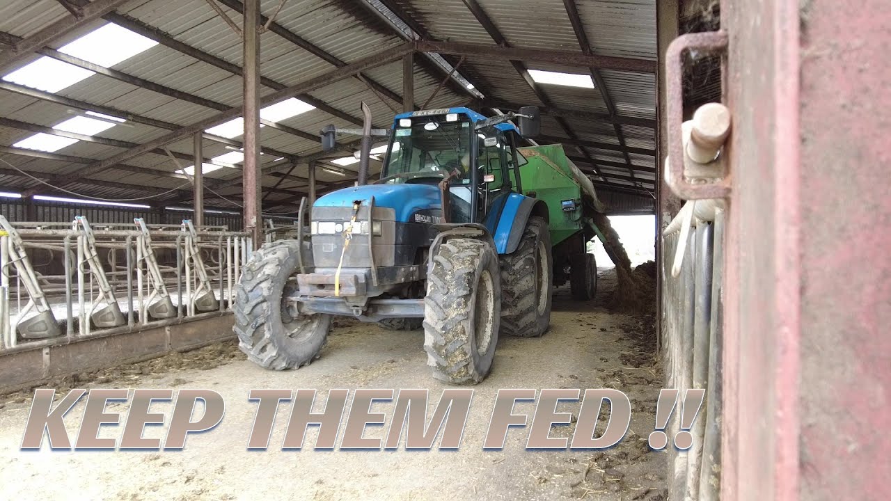 KEEP THEM FED !!! - YouTube