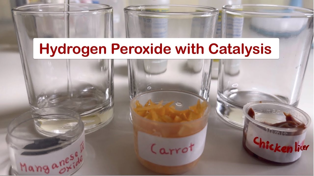 Experiment: {Grae12} || Using Catalysis - Heterogeneous and Enzyme ...
