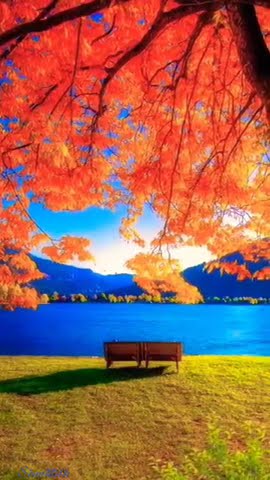 pal_ek_pal_mein_hi_tham_sa_gaya_nature_status___%23nature_%23viralvideo ...