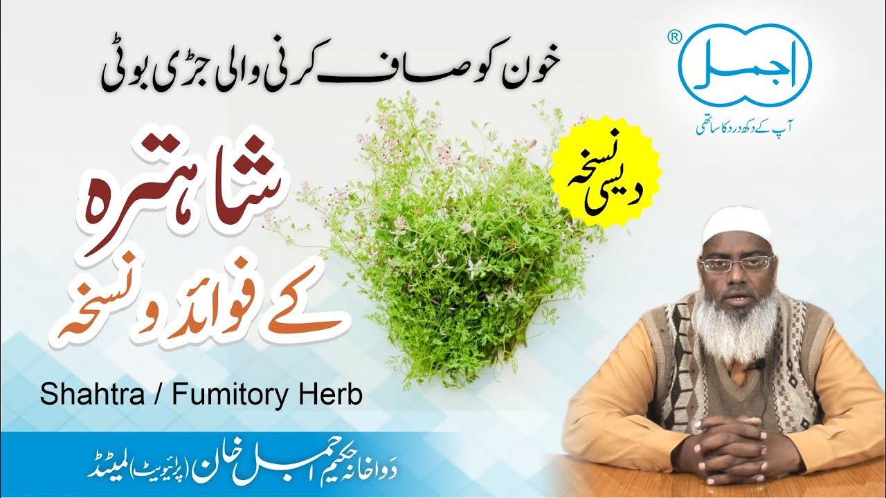 Shahtra Benefits in urdu | Fumitory | Pitpapra | Khoon Saaf krne wali ...