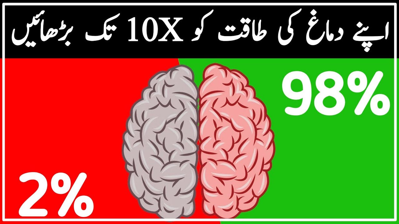How To 10X Your Intelligence 5 how-to-10x-your-intelligence-5