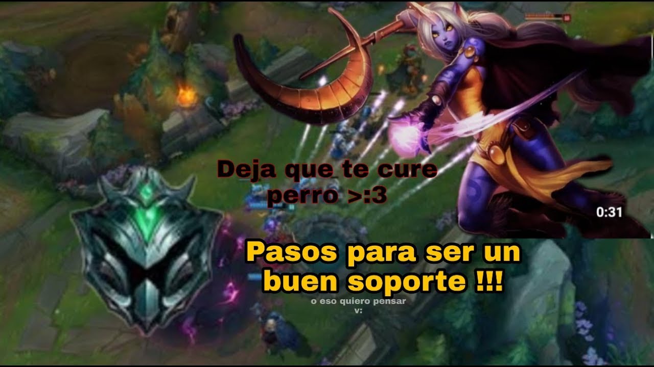 Algunos de mis consejos para que seas un soporte bien perron chicheñol ...