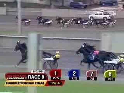 2008 Hambletonian Final -- USTA Harness Racing - YouTube