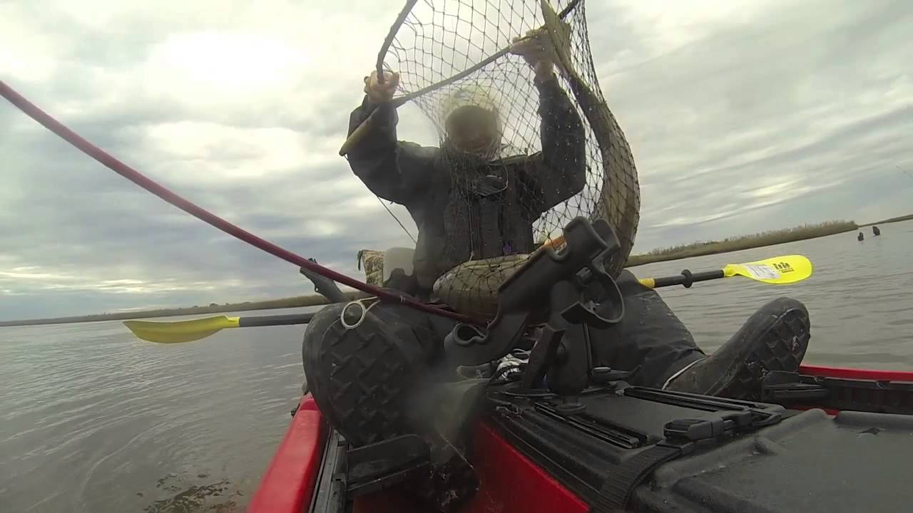 Choupique Bayou My Biggest Redfish Yet!! December 22 2013 - YouTube