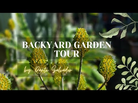 The 2024 Best Backyard Garden Competition judges visited my garden ...