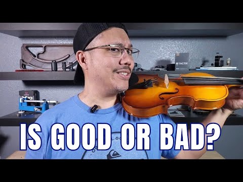 COME SEE WHAT I LEARNED ABOUT PLAYING THE VIOLIN AFTER MY FIRST 2 DAYS ...