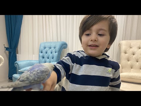 ahmet emreye muhabbet kuşu aldık@ahmertveailesi