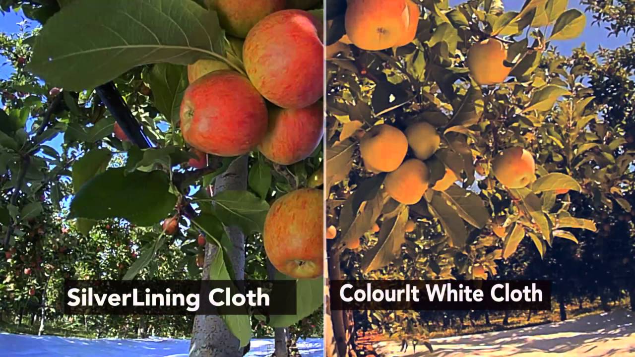 Proline Reflective cloth English - YouTube