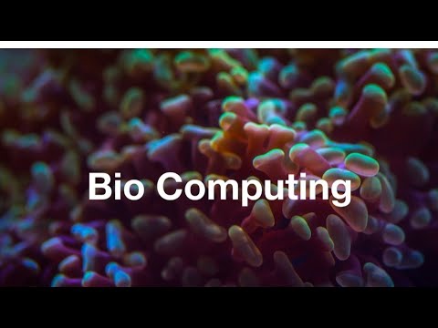 1 8 Bio Computing - YouTube
