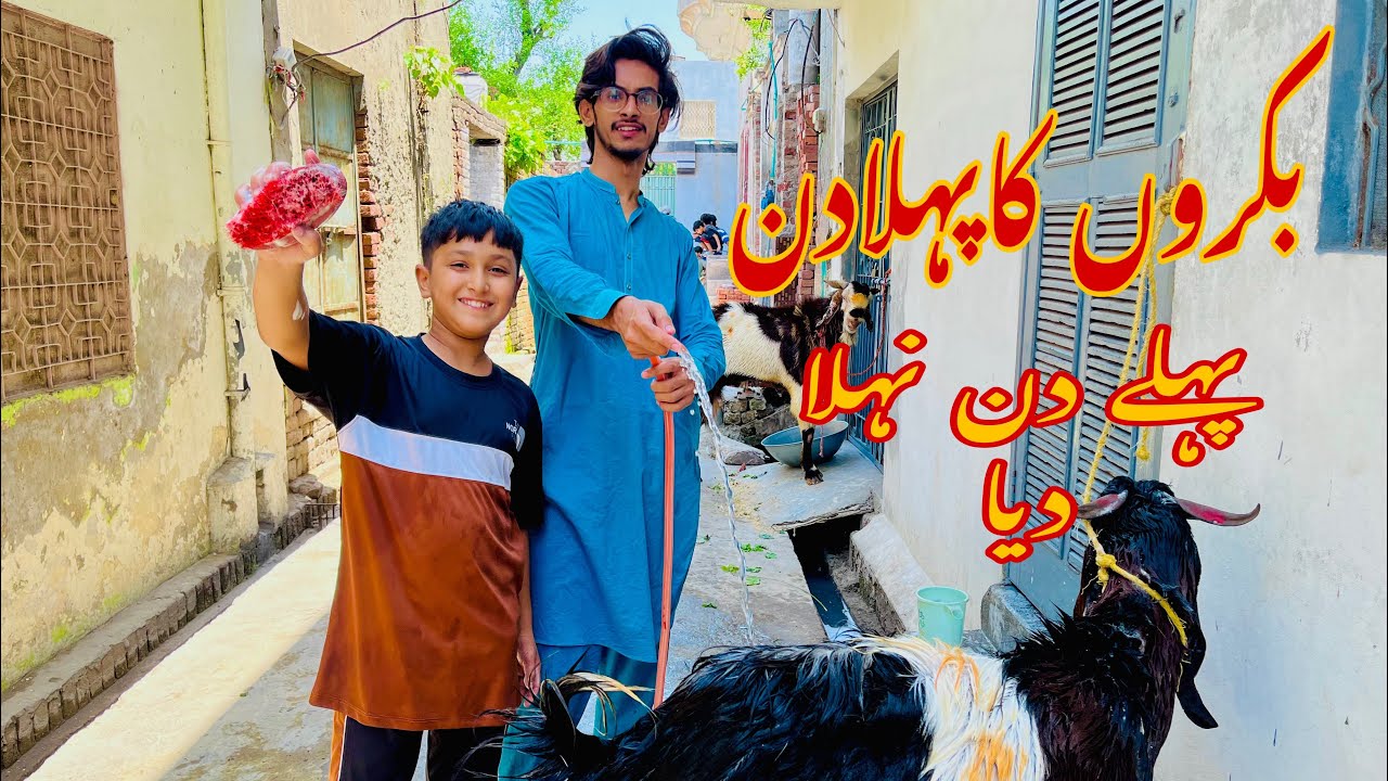 Bakro Ky Sath Pahla Din 😂 ️||Bakro Ko Nihla Ky Phirny Chaly Gy 😉🐐 - YouTube