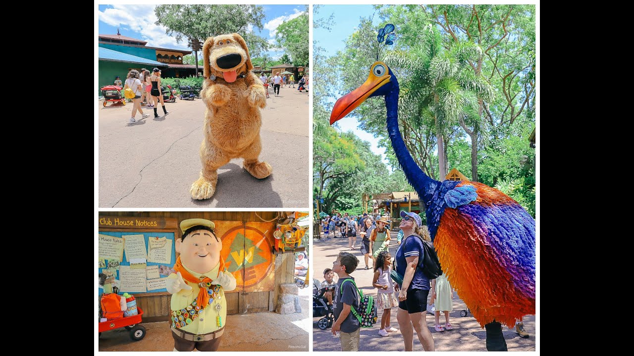 Where to Meet Characters from 'Up' at Disney World - YouTube