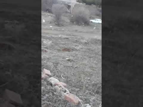 Renault  12 Toros Drift