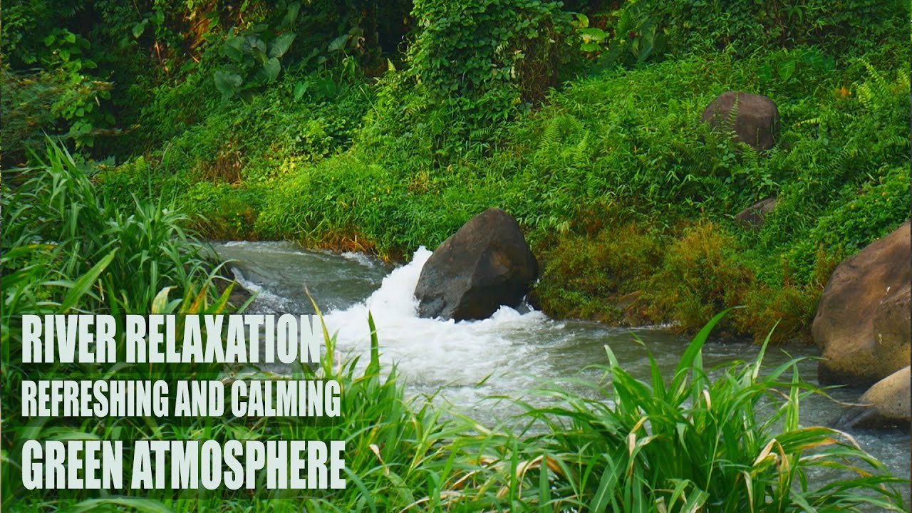 RIVER RELAXATION REFRESHING AND CALMING GREEN ATMOSPHERE - YouTube