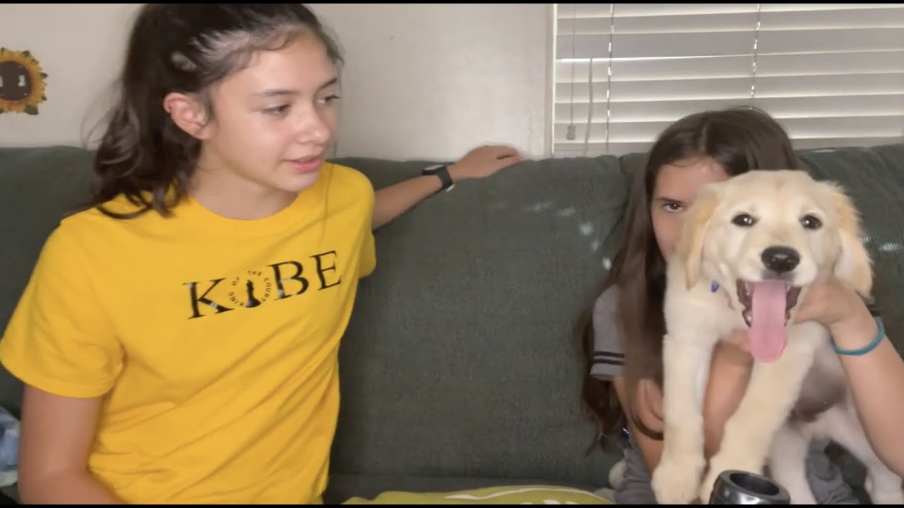 ASMR with my Puppy - YouTube