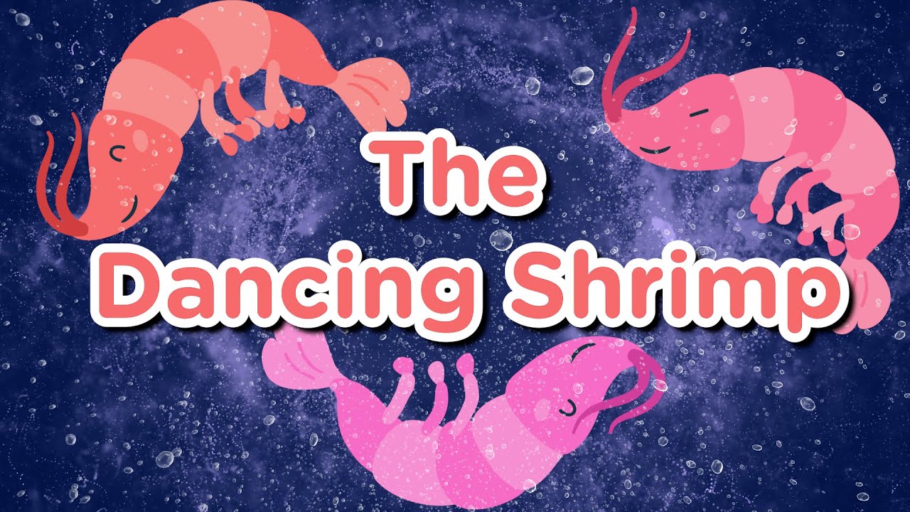 Ever see Shrimp sing and dance?!!! - YouTube
