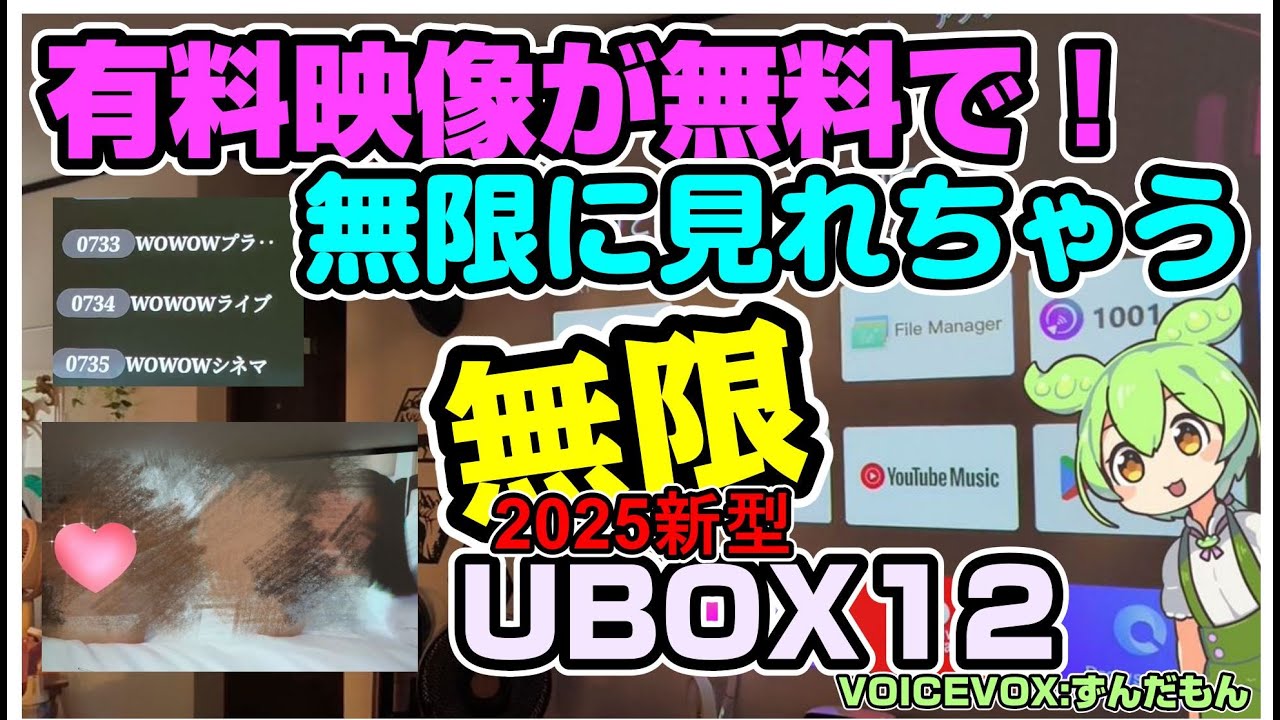 世界テレビ TV Box（UBOX 12）色々と見放題 有料放送が無料！マルチWifiチューナー (声ずんだもん - YouTube