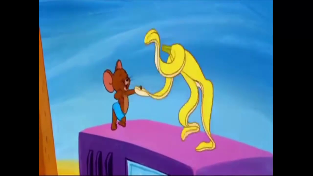 Tom And Jerry English Episodes Muscle Beach Tom Cartoons For Kids Best ...