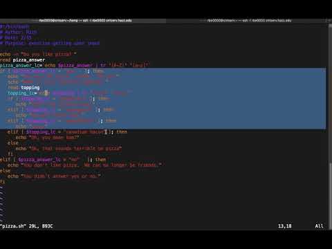 Shell Scripting 101: code structure - YouTube