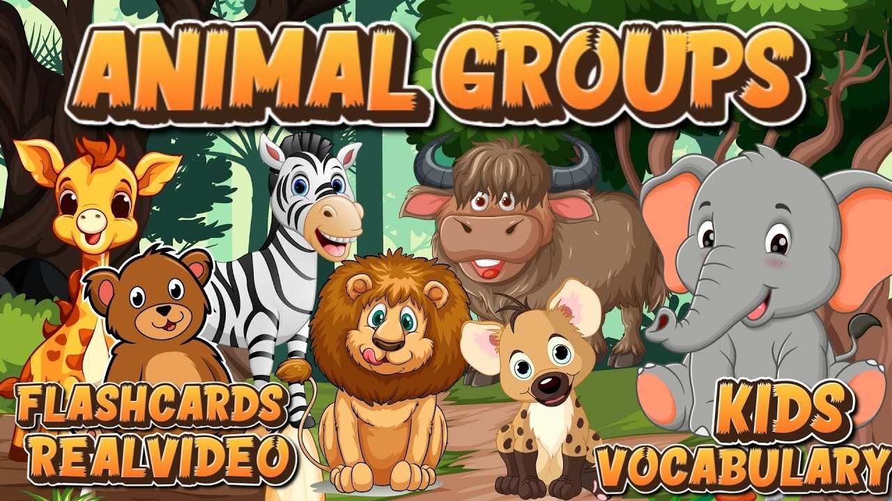 First Animals for Kids | Group Names | Kids Learning - YouTube