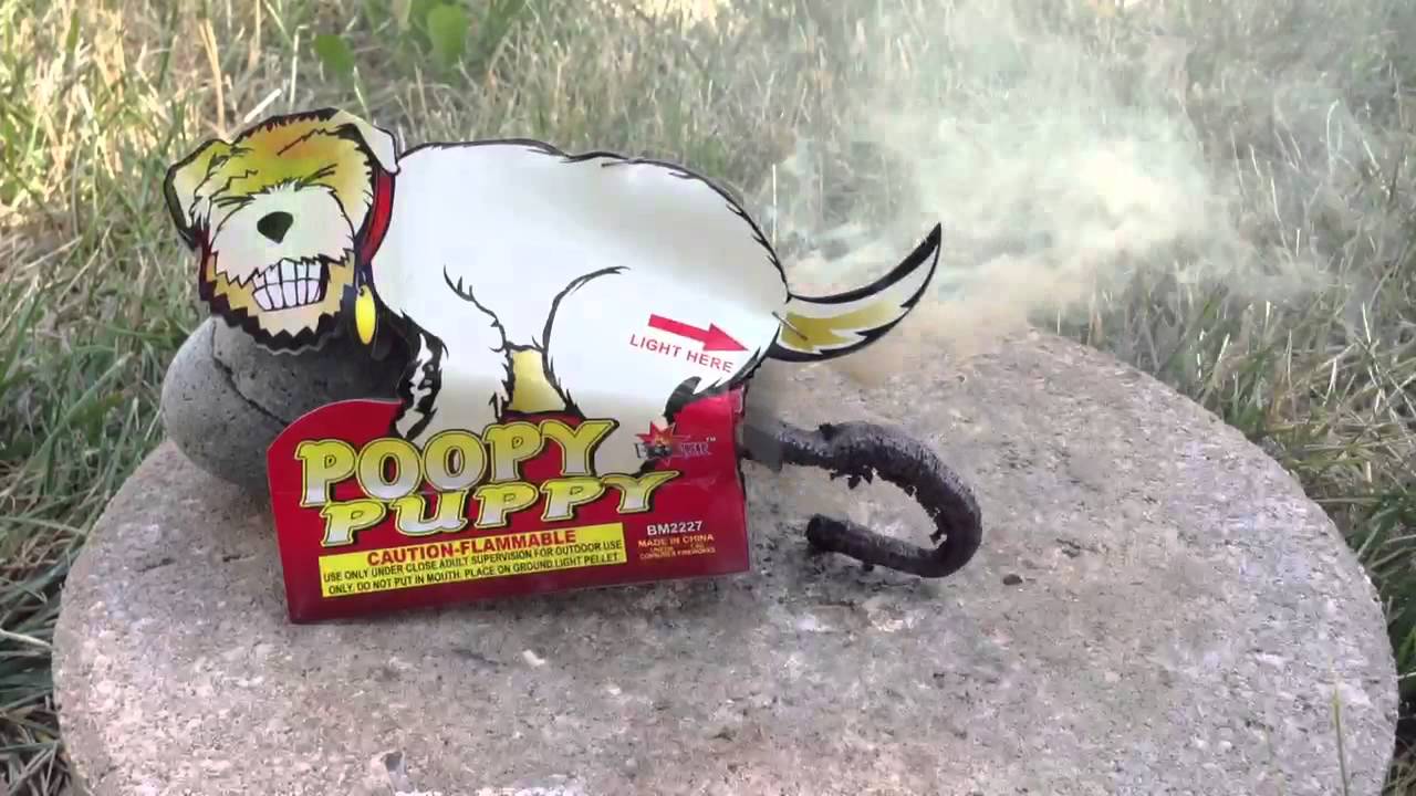 Poopy Puppy Firework In HD - YouTube