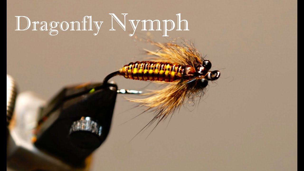Dragonfly Nymph - YouTube