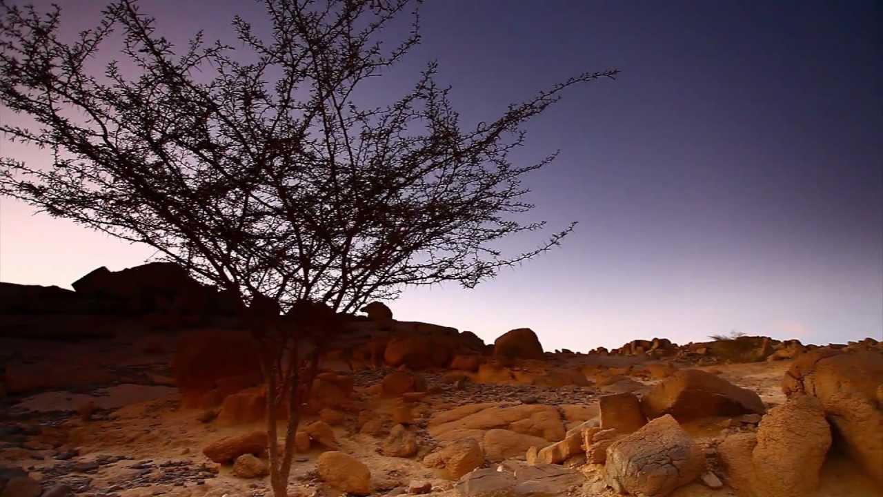 Sahara HD 1080p - YouTube