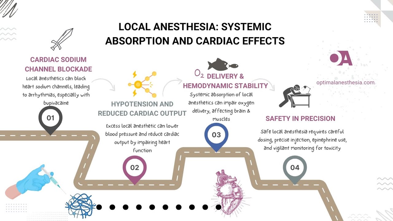 The Impact of Regional and Local Anesthesia on Oxygen Flux: Key ...