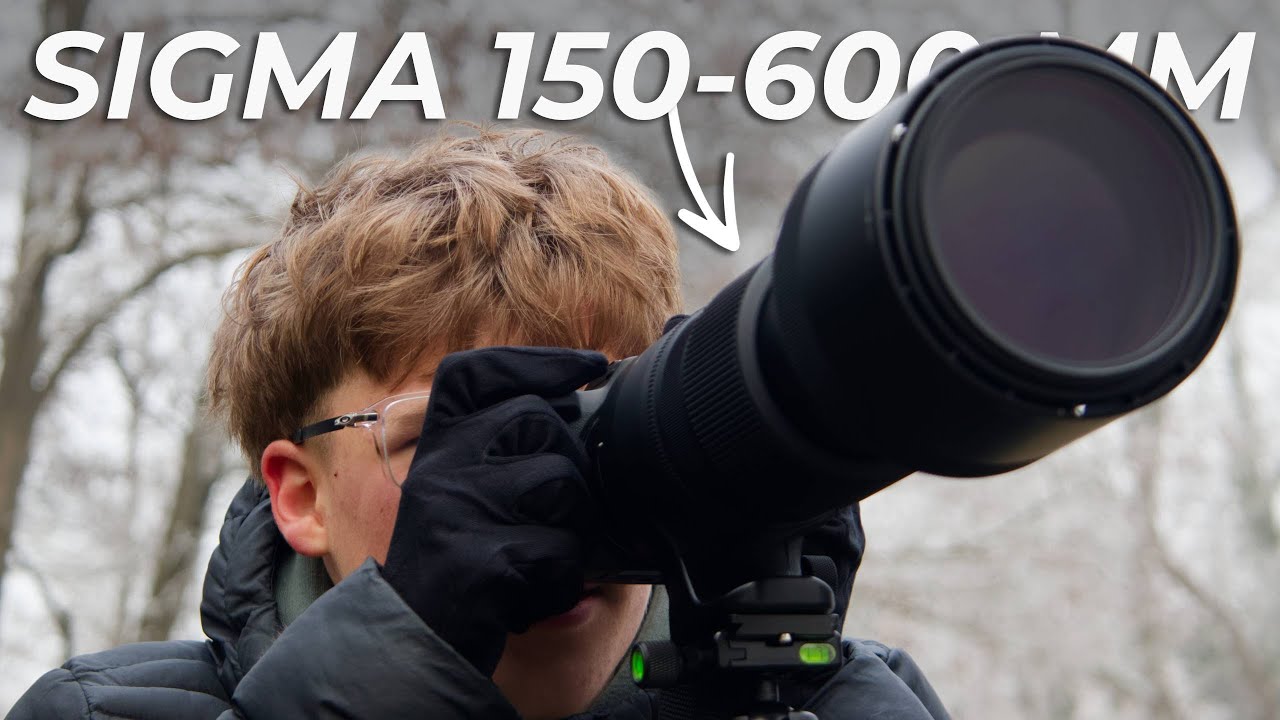 TEST du téléobjectif Sigma 150-600 f/5-6.3 - YouTube