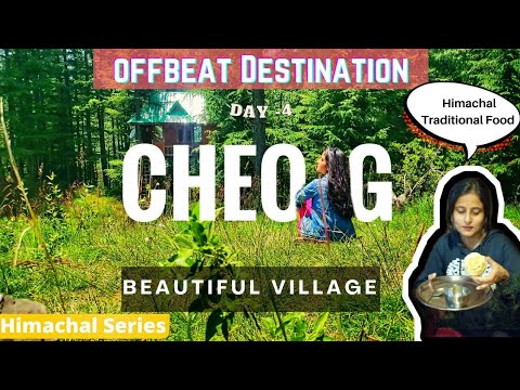 Cheog || Offbeat Destination || Local food || Village Life || Himachal ...