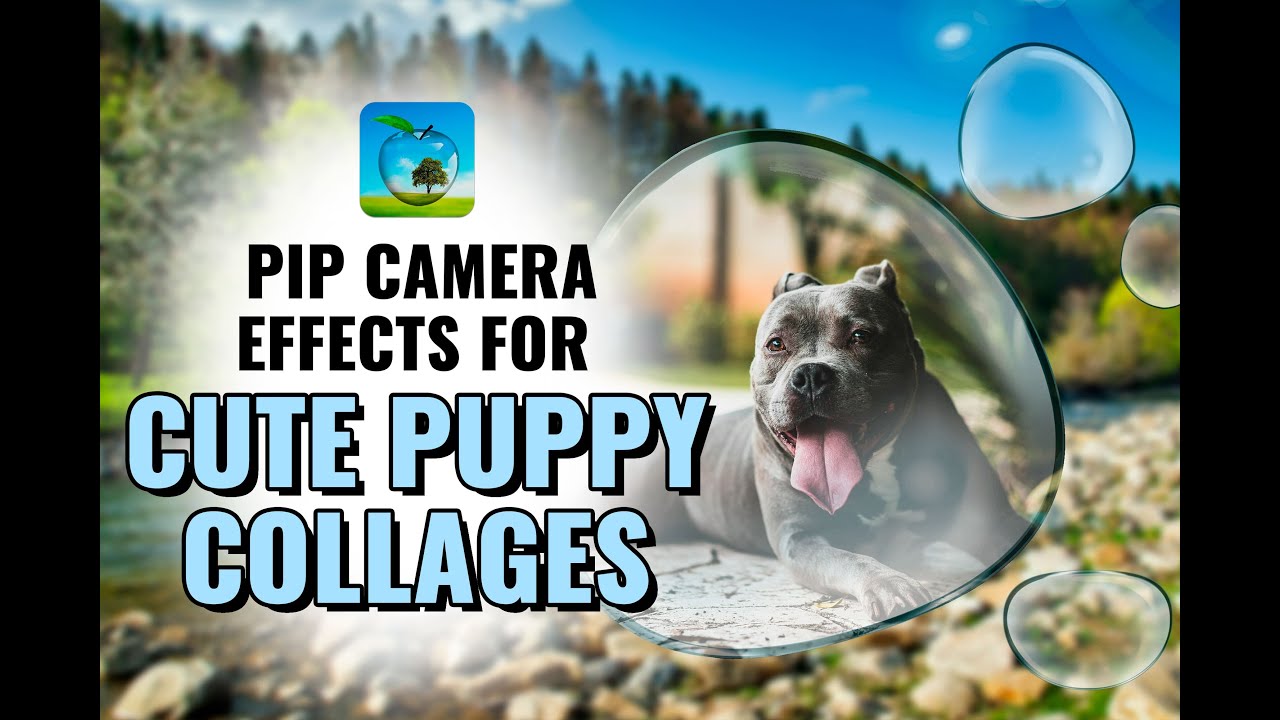 PiP camera effects for cute puppy collages | Photo Editor | PiP effects ...
