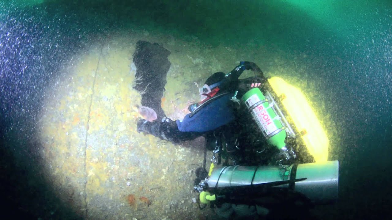 Merchant Royal - YouTube