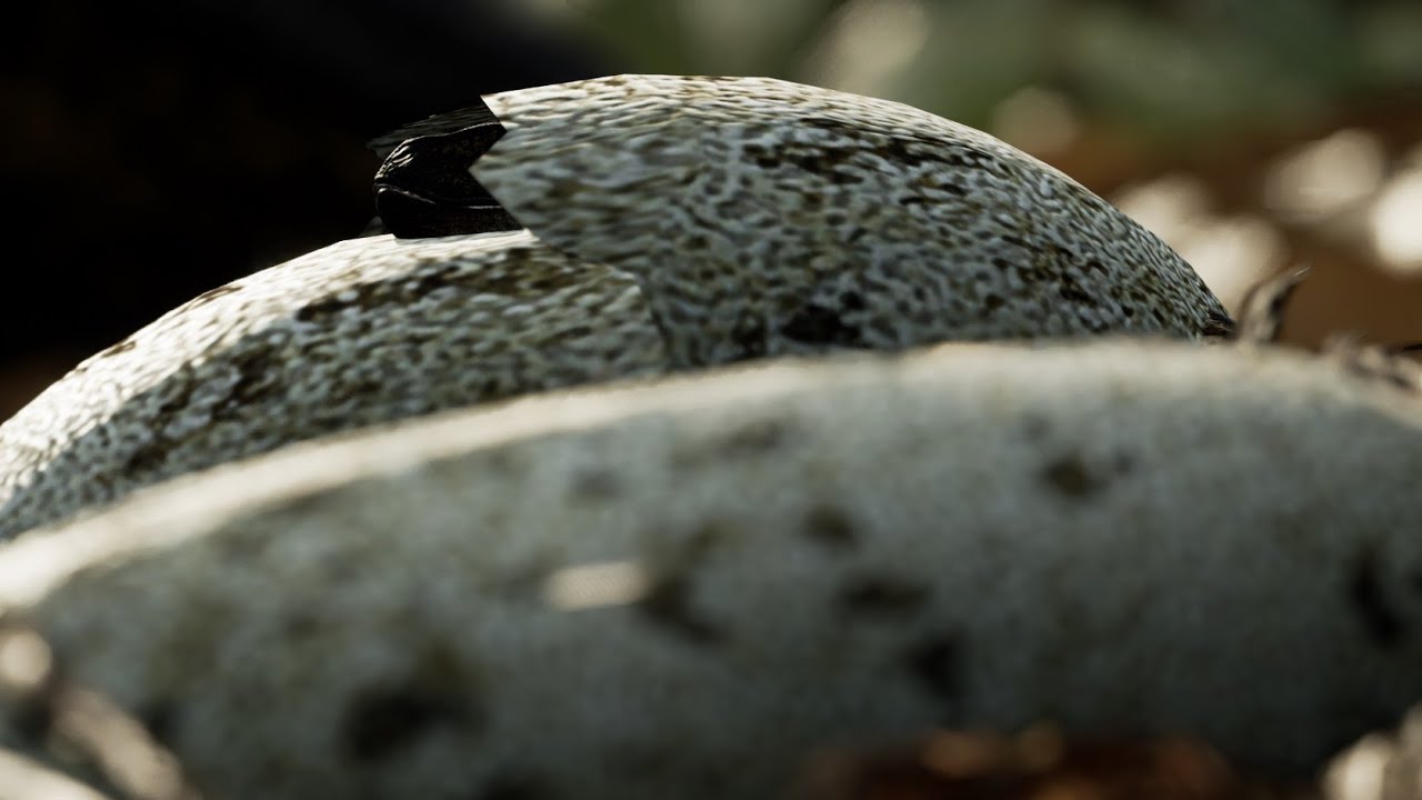 The Isle Dev Blog #25 Reading and Discussion: Nesting Details, Upcoming ...