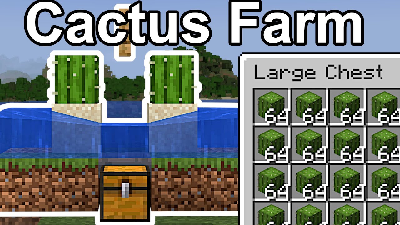 Cactus farm Minecraft 1.21+ - YouTube