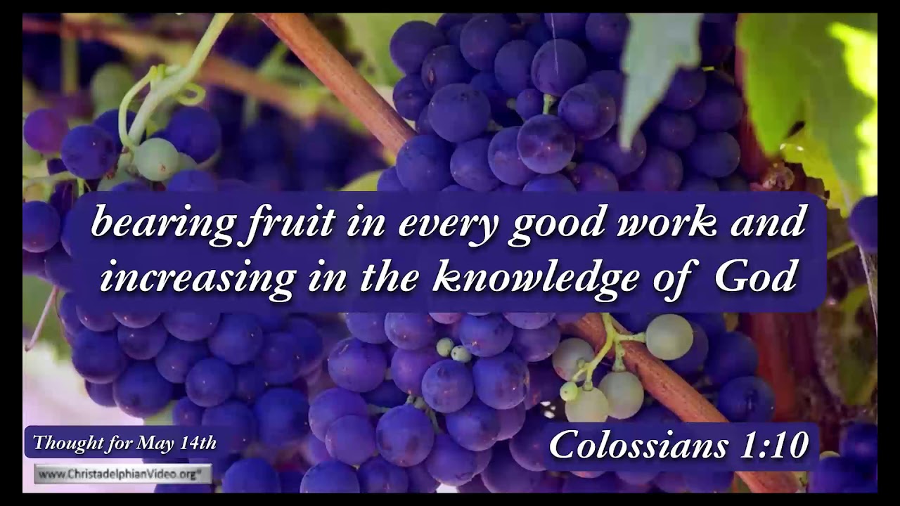 Thought For May 14th bearing Fruit In Every Good Work And Increasing