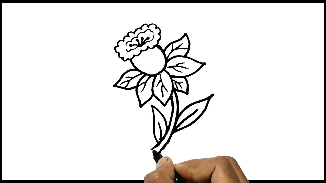 How to Draw a Flower Step by Step | Flower Drawing Lessons - YouTube