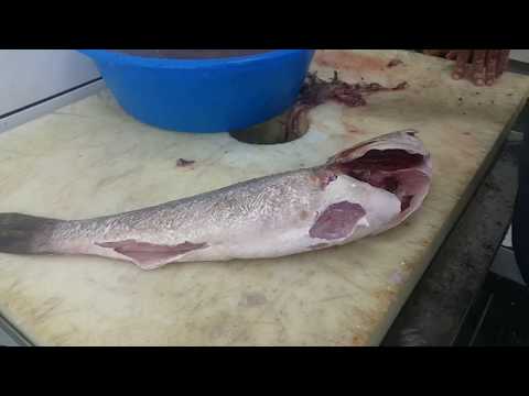 Lagos balığı temizleme  omega-3 %80