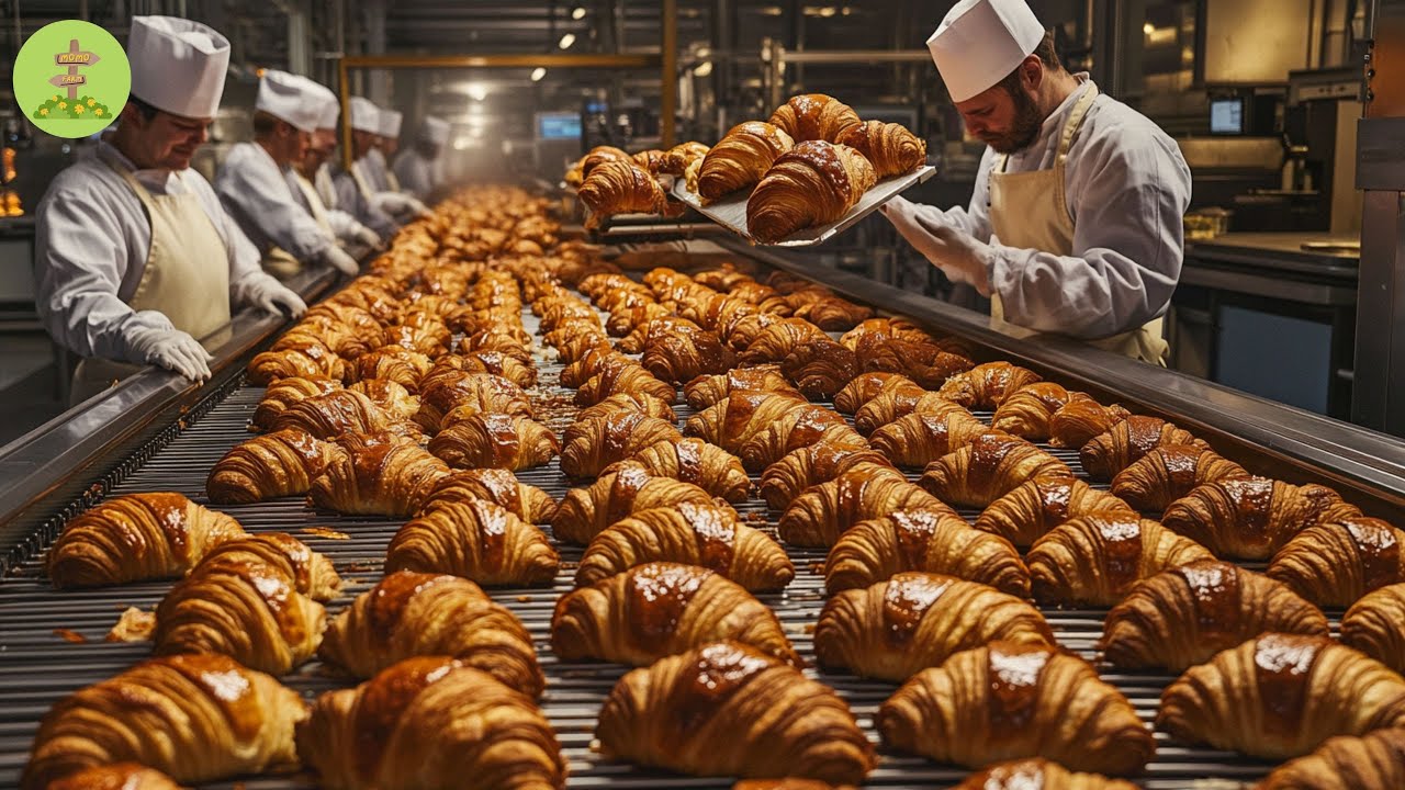 How Millions of Croissants Are Made in a Factory | Croissants Factory ...