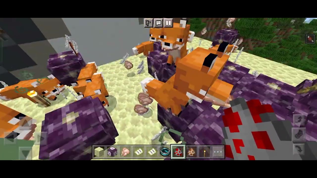 Minecraft comiendo pollo crudo - YouTube