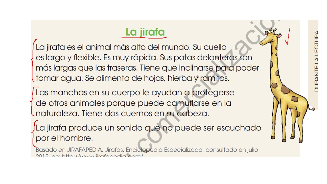 LA JIRAFA LECTURA COMPRENSIVA - YouTube